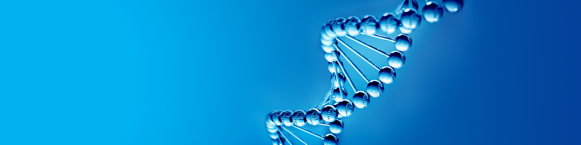 PGT-SR: Testing Embryos | Newlife IVF