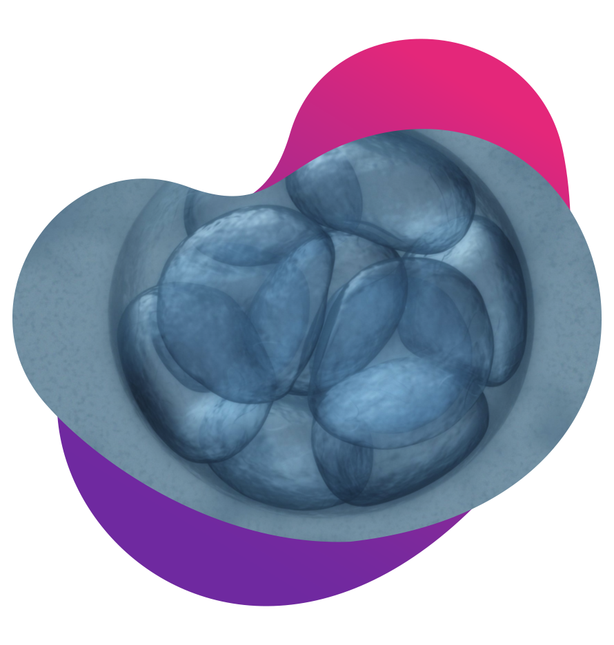 Become an IVF Donor: Egg & Sperm Donation at Newlife IVF